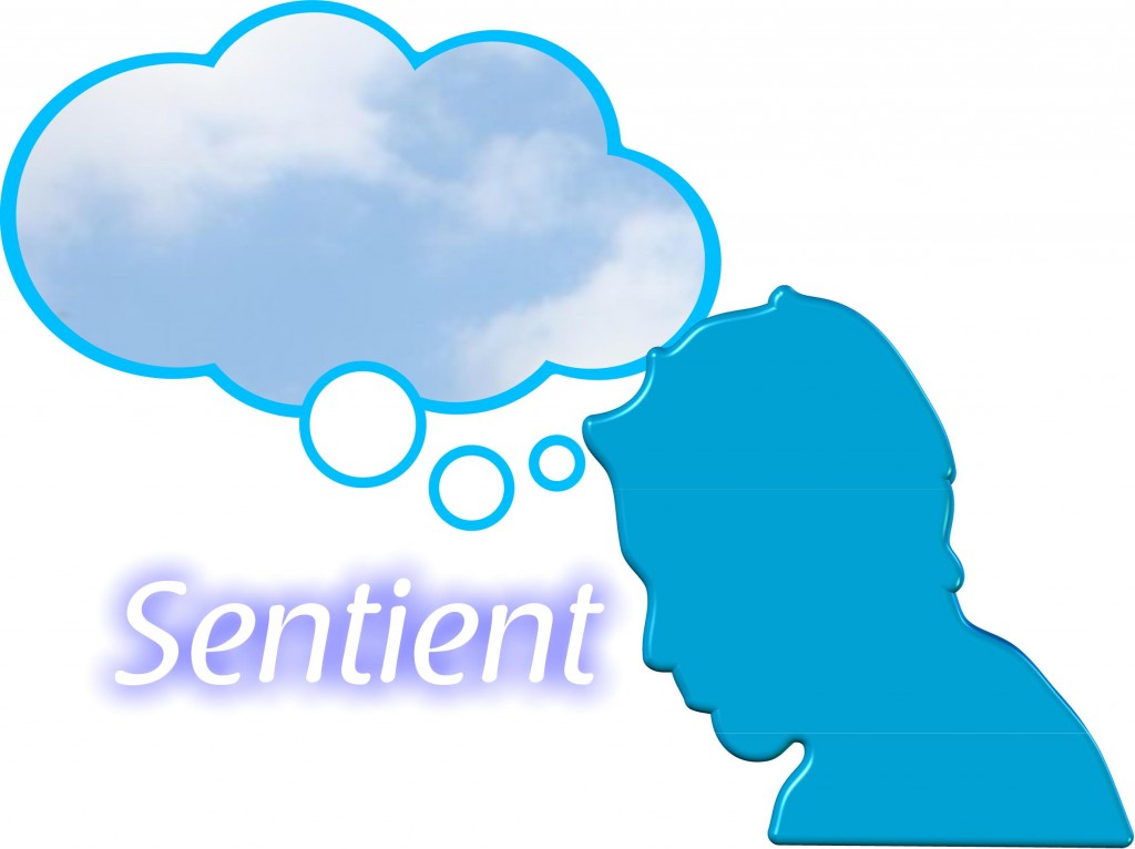 Sentient Counselling - Counselling in Belfast
